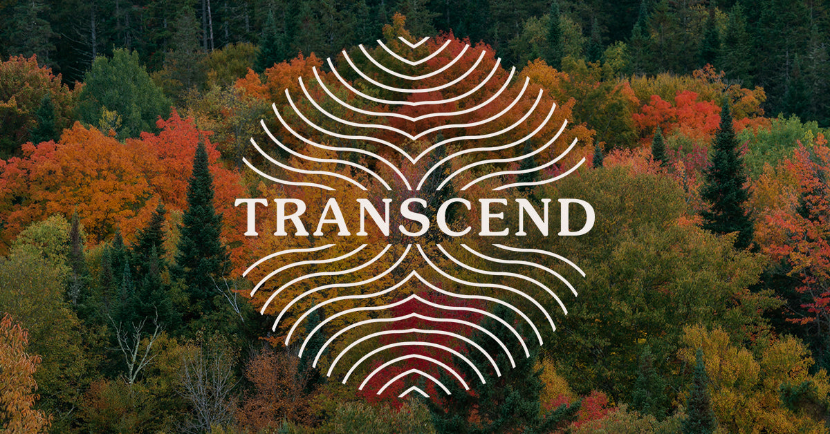 Transcend - Life-Giving Tree Burial™